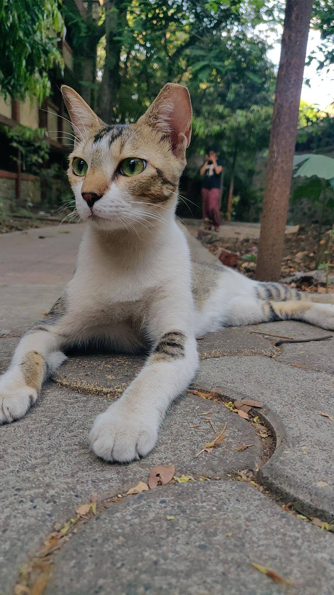 Them eyes | Scrolller