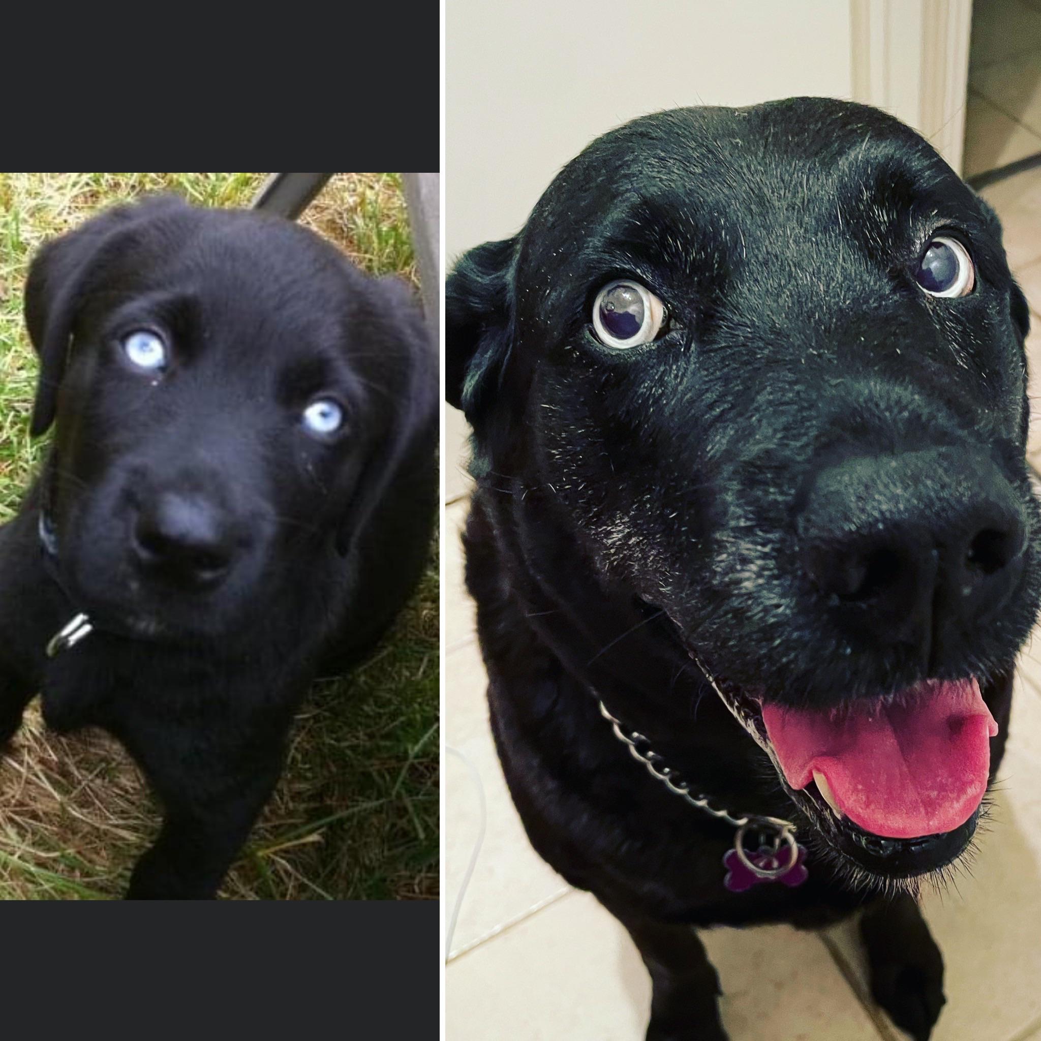 Then vs now. 8 weeks vs 10 ½ years | Scrolller