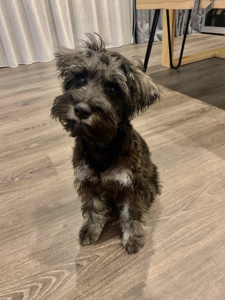 Theo looking handsome after his fresh cut | Scrolller