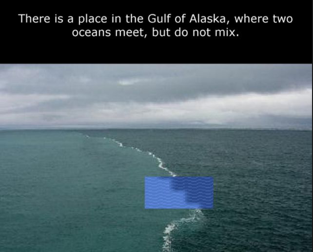 "There is a place in the realm, where two oceans do not mix..." | Scrolller