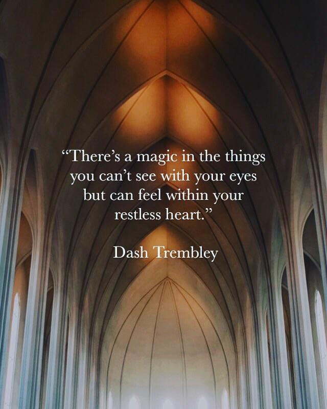 There is magic everywhere if you opened new eyes to see | Scrolller