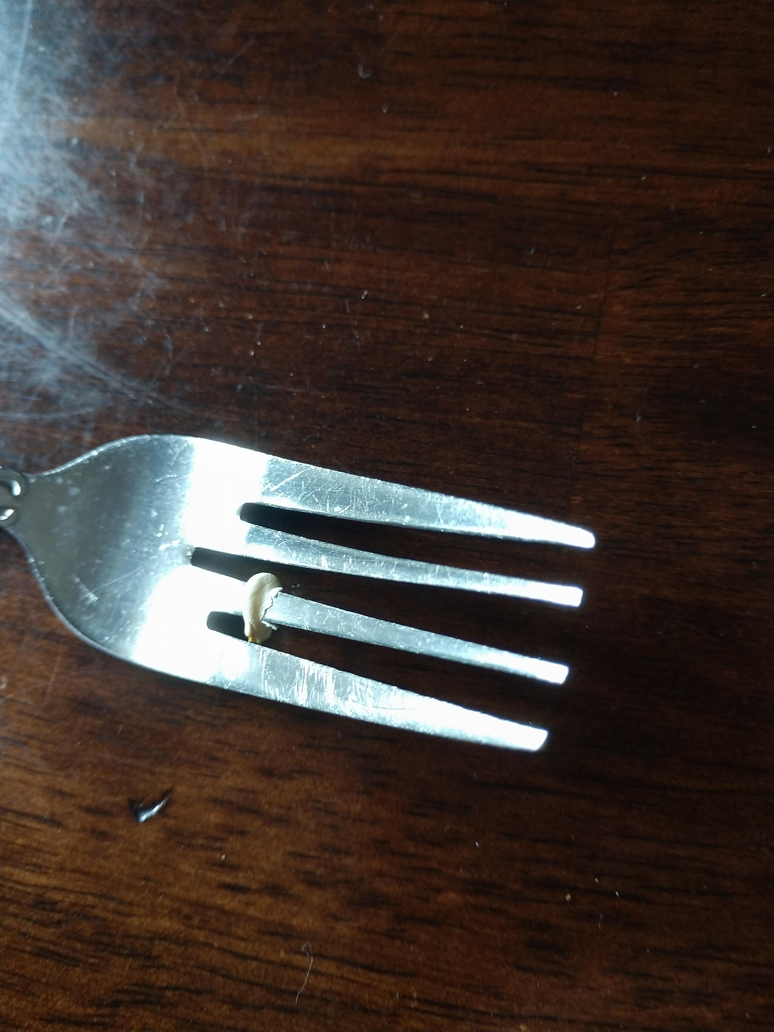 There was a seed in my dishwasher and it ended up on this fork | Scrolller