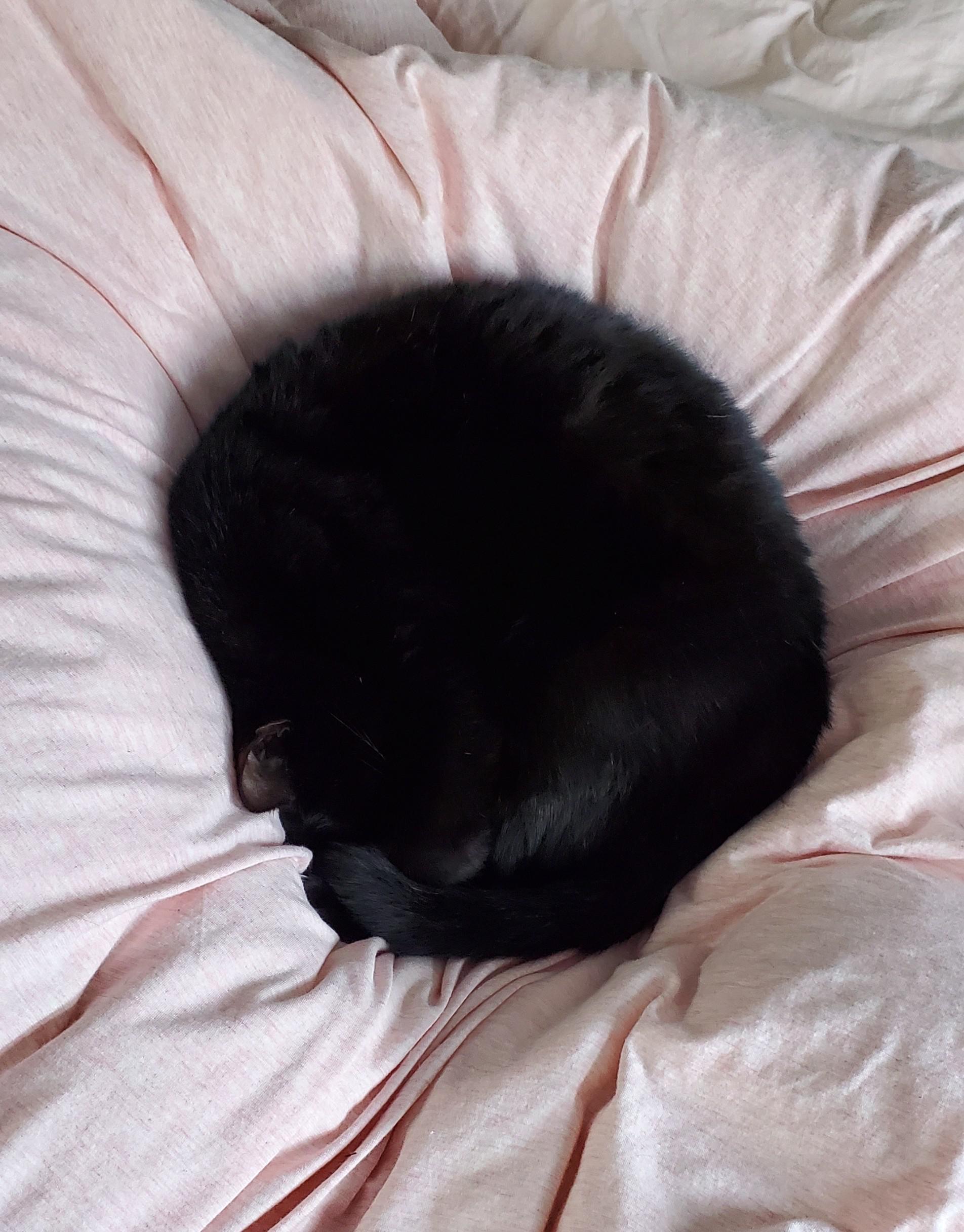 There's a void in my bed. | Scrolller