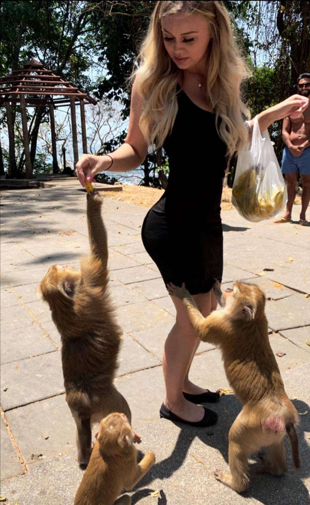 These monkeys know what's up | Scrolller