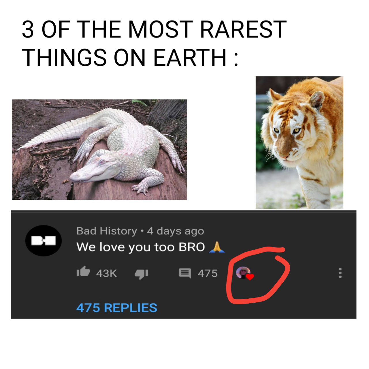 THESE R THE RARE SIGHTINGS | Scrolller