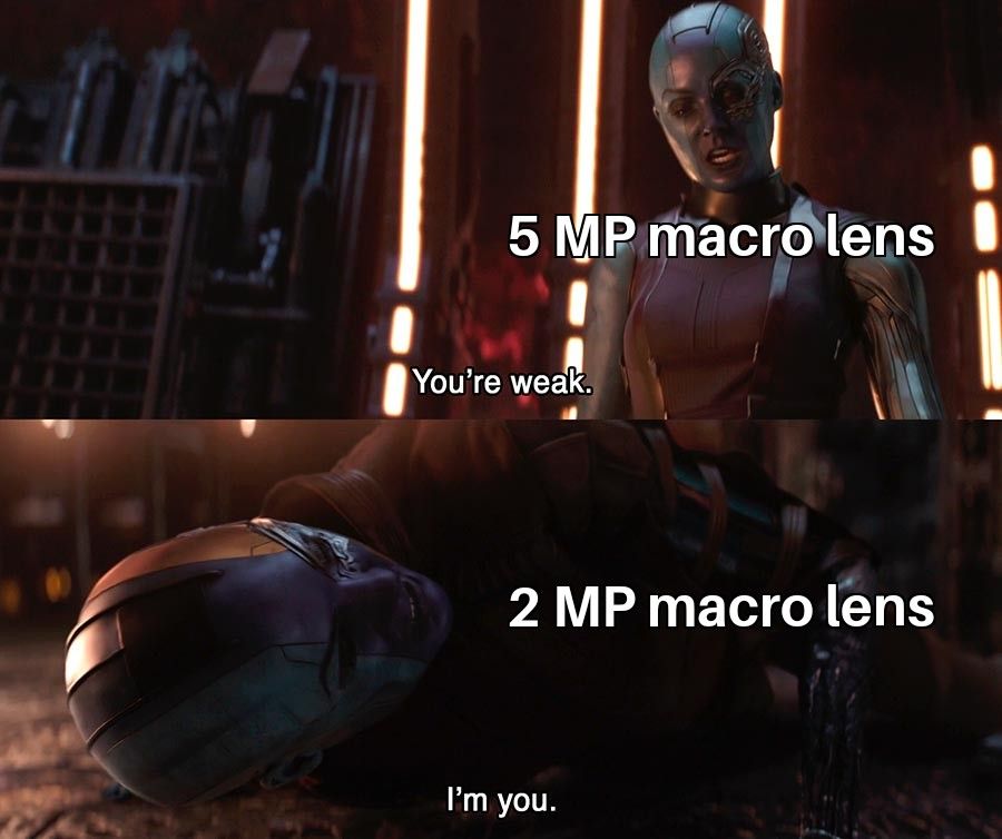 They are same | Scrolller