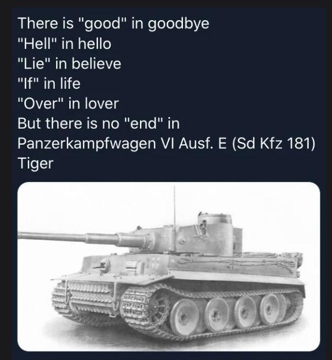 THEY ARE THE PANZER ELITE | Scrolller