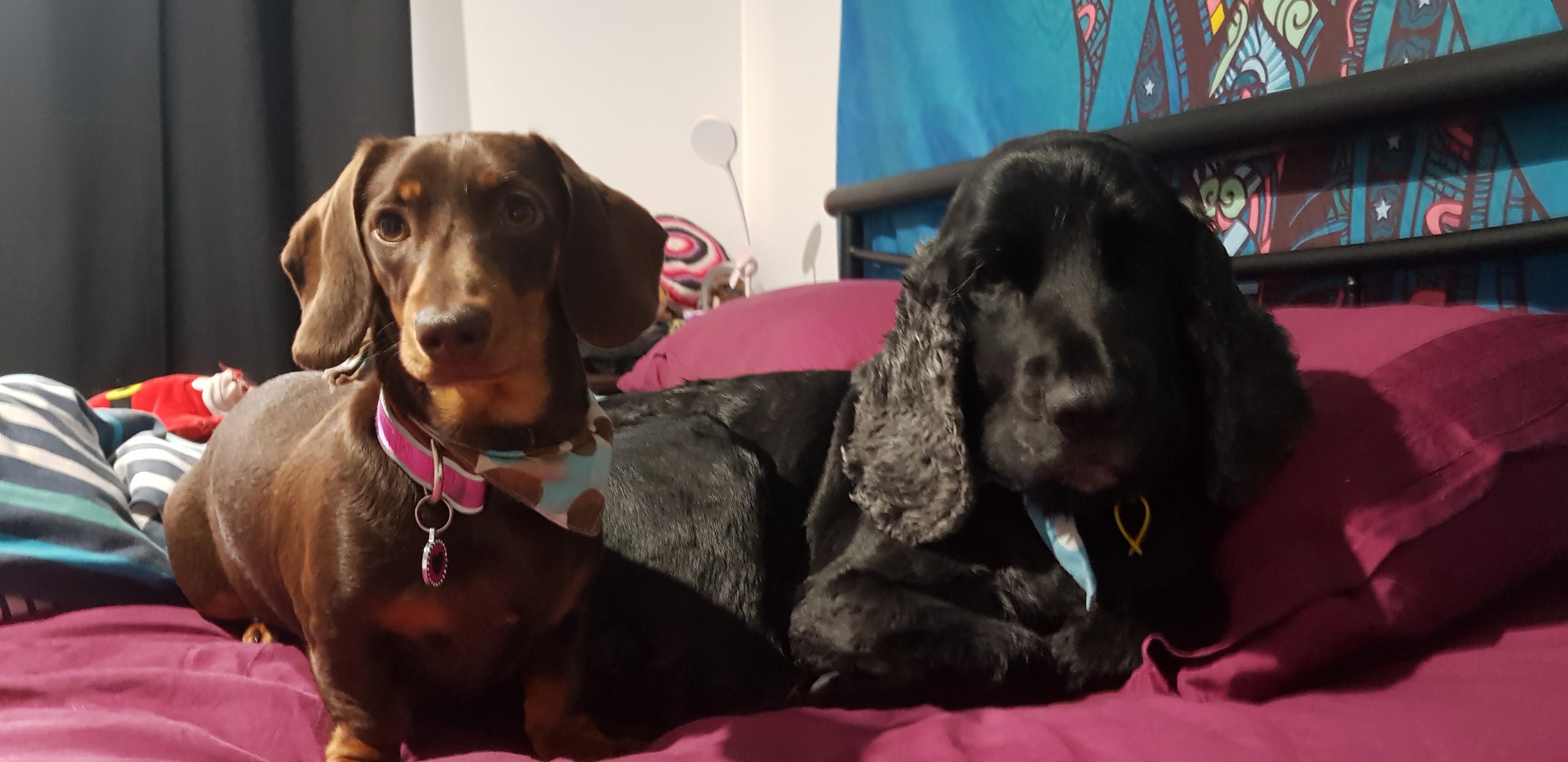 They grow up so fast | Scrolller