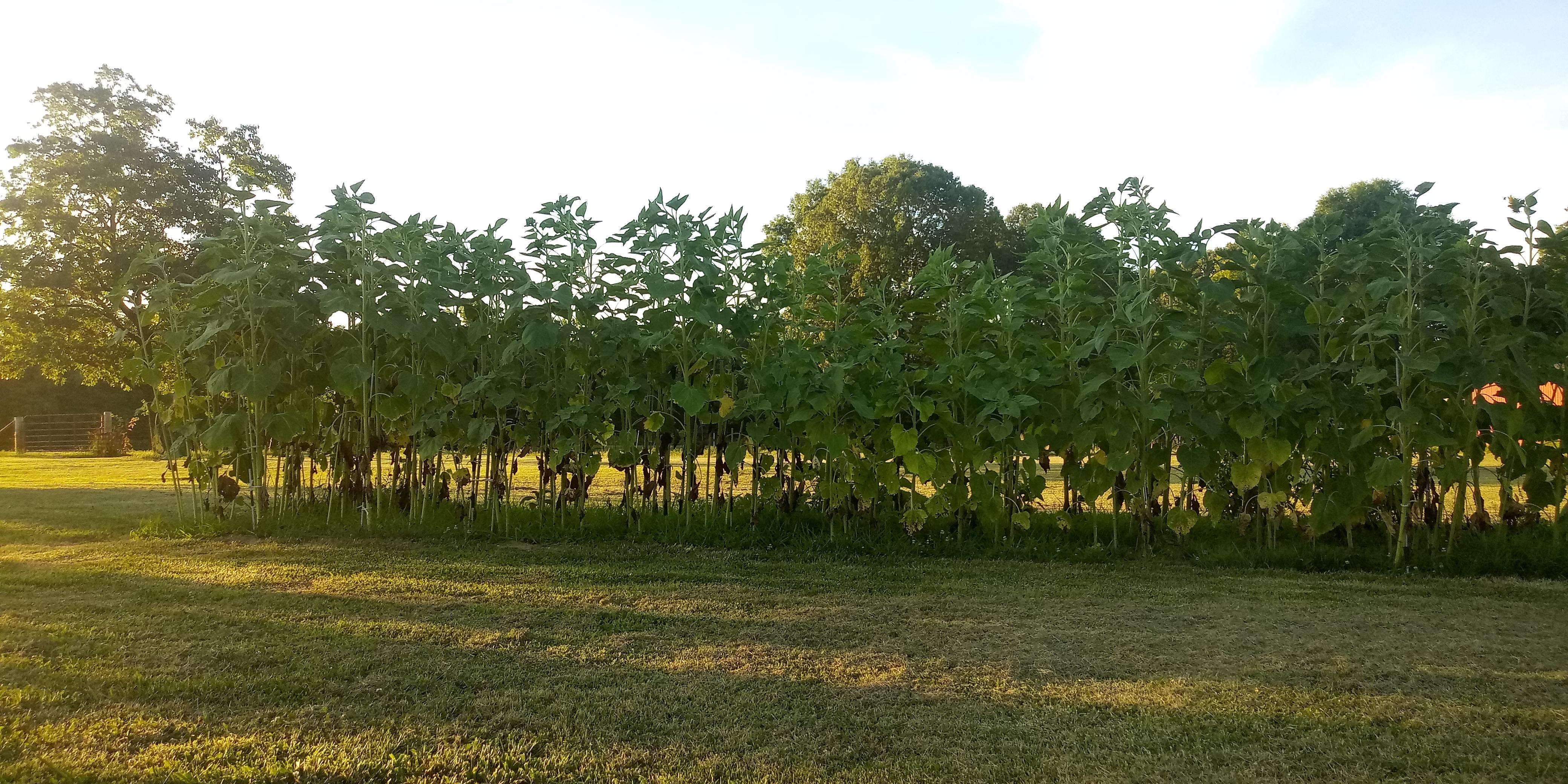 They grow up so fast. (,: | Scrolller