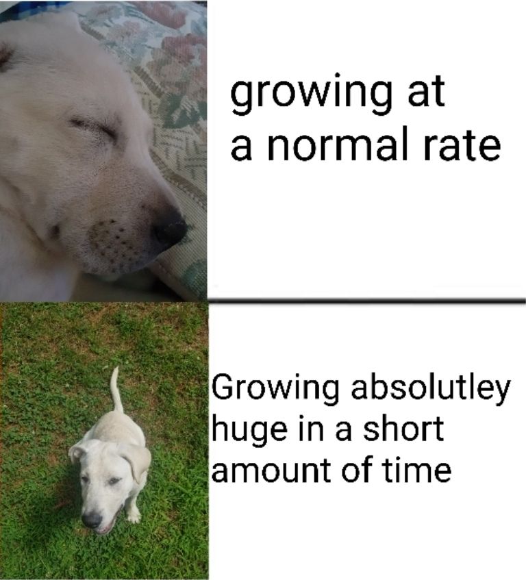 They grow up so fast | Scrolller