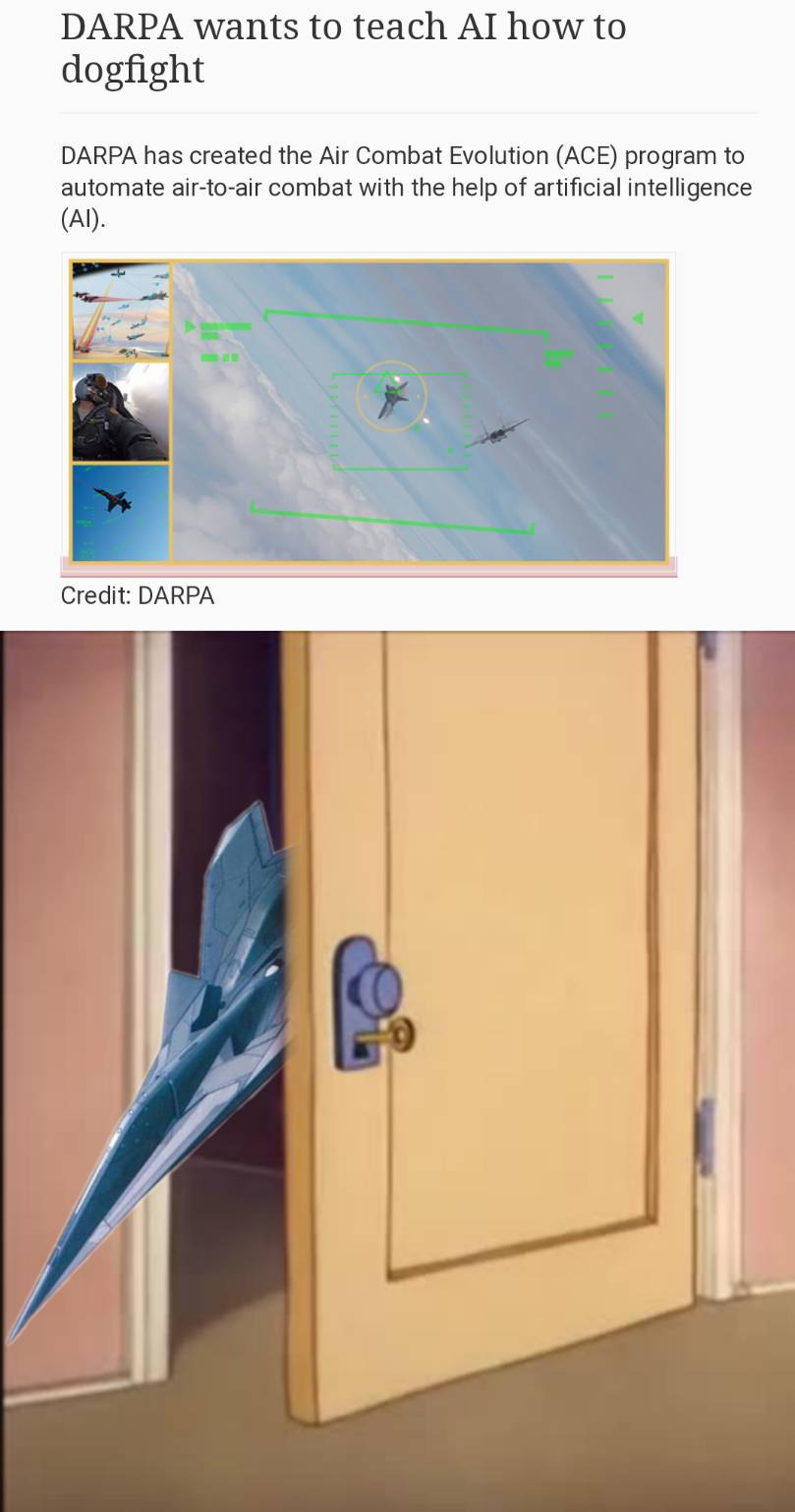 They never learn do they? | Scrolller