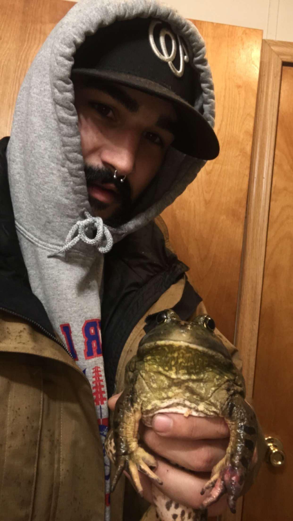 Thicc bull frog I caught on a rainy morning | Scrolller