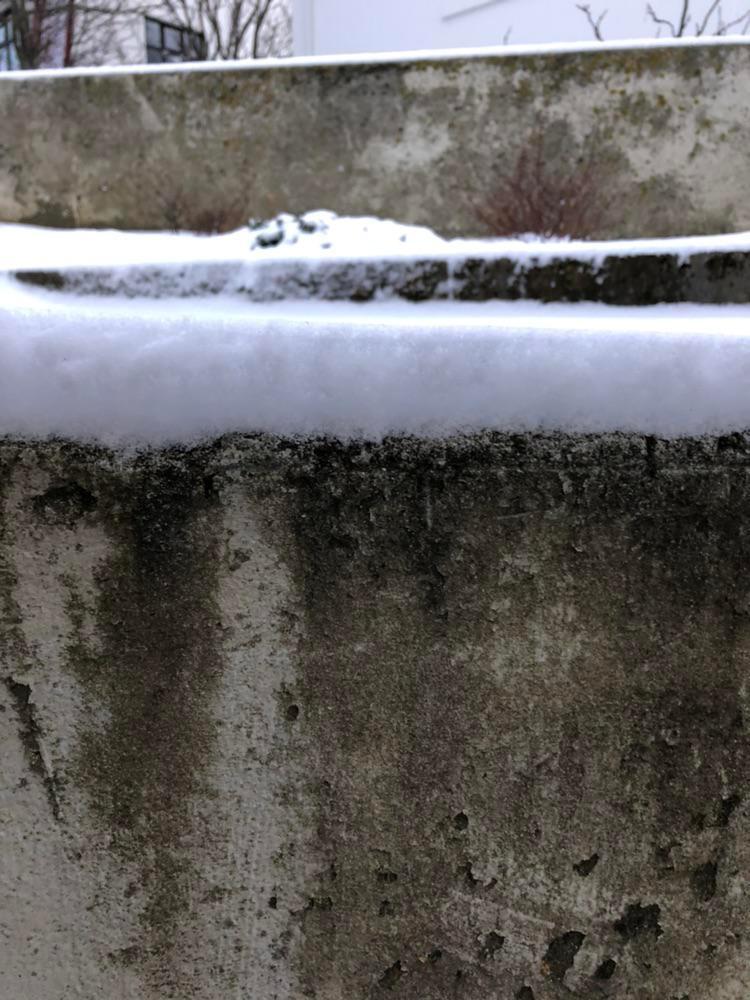 Thicc layer | Scrolller