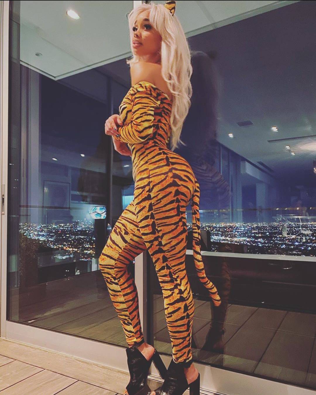 Thick cat | Scrolller