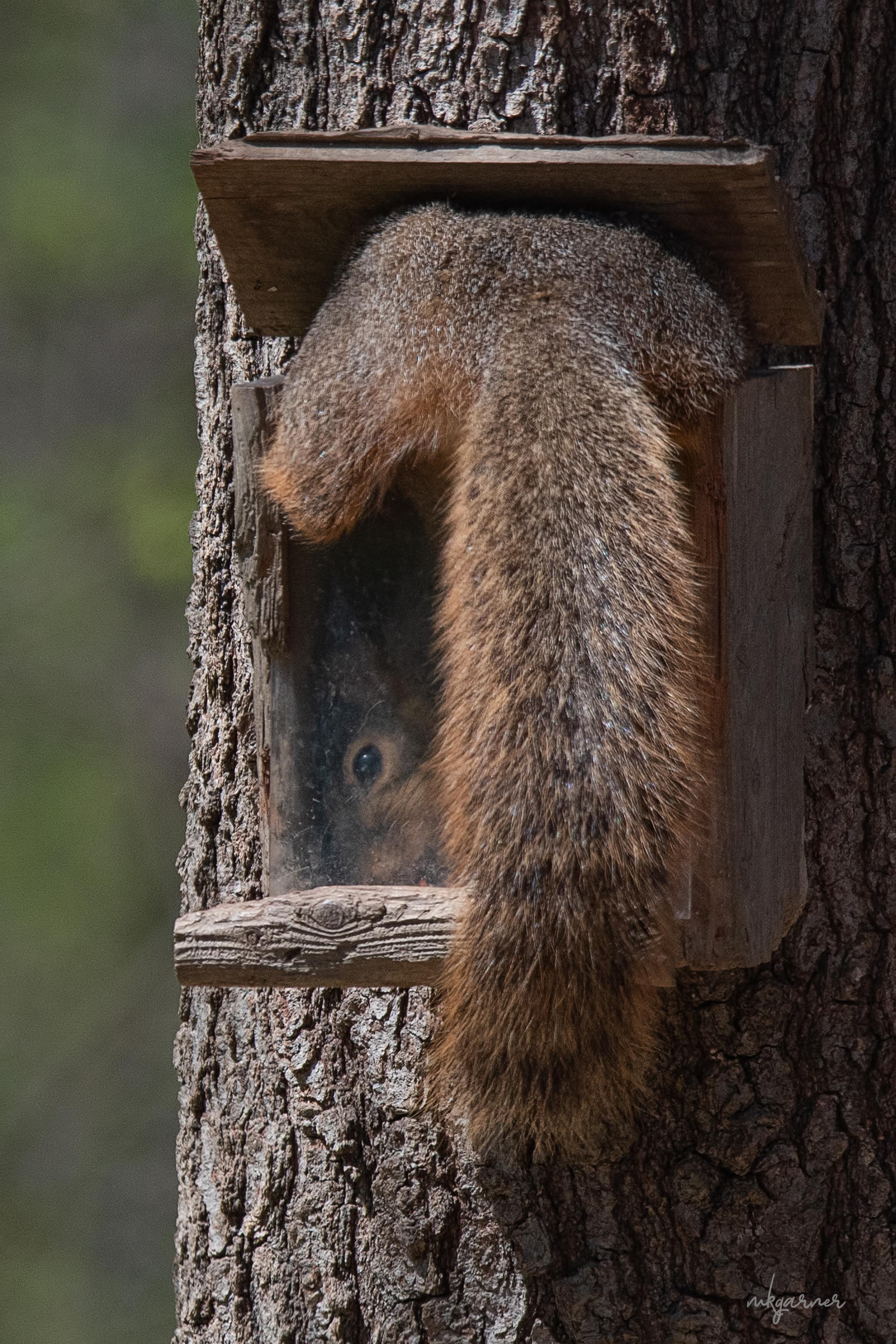 “Thinking inside the box” | Scrolller