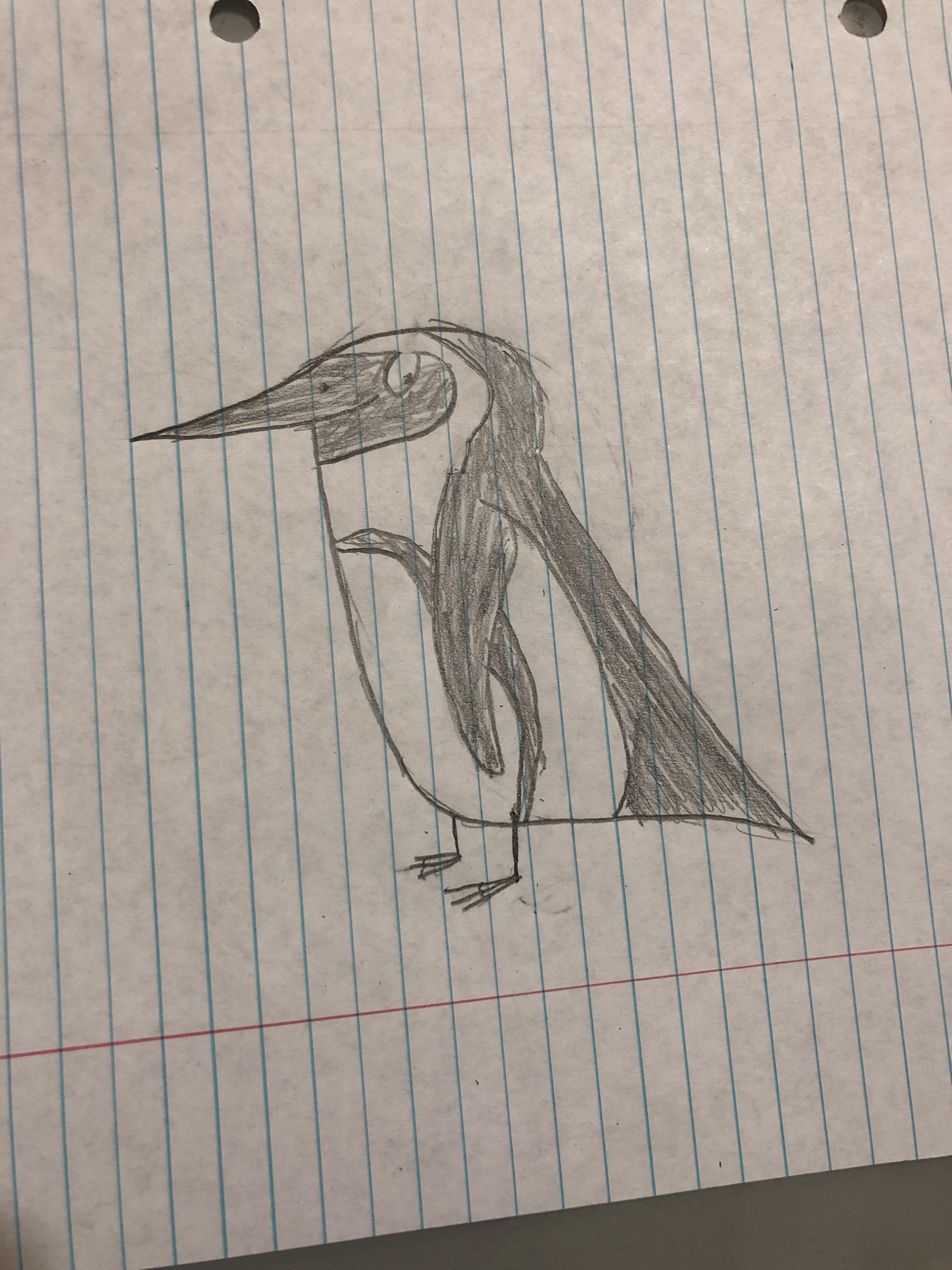 This Berd is a penguin | Scrolller