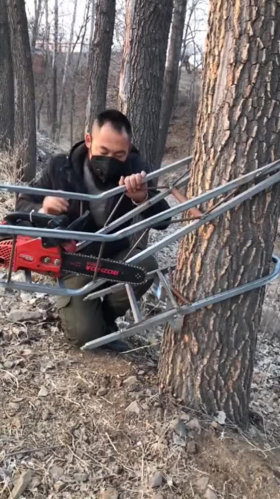 This brilliant low tech tree climber | Scrolller