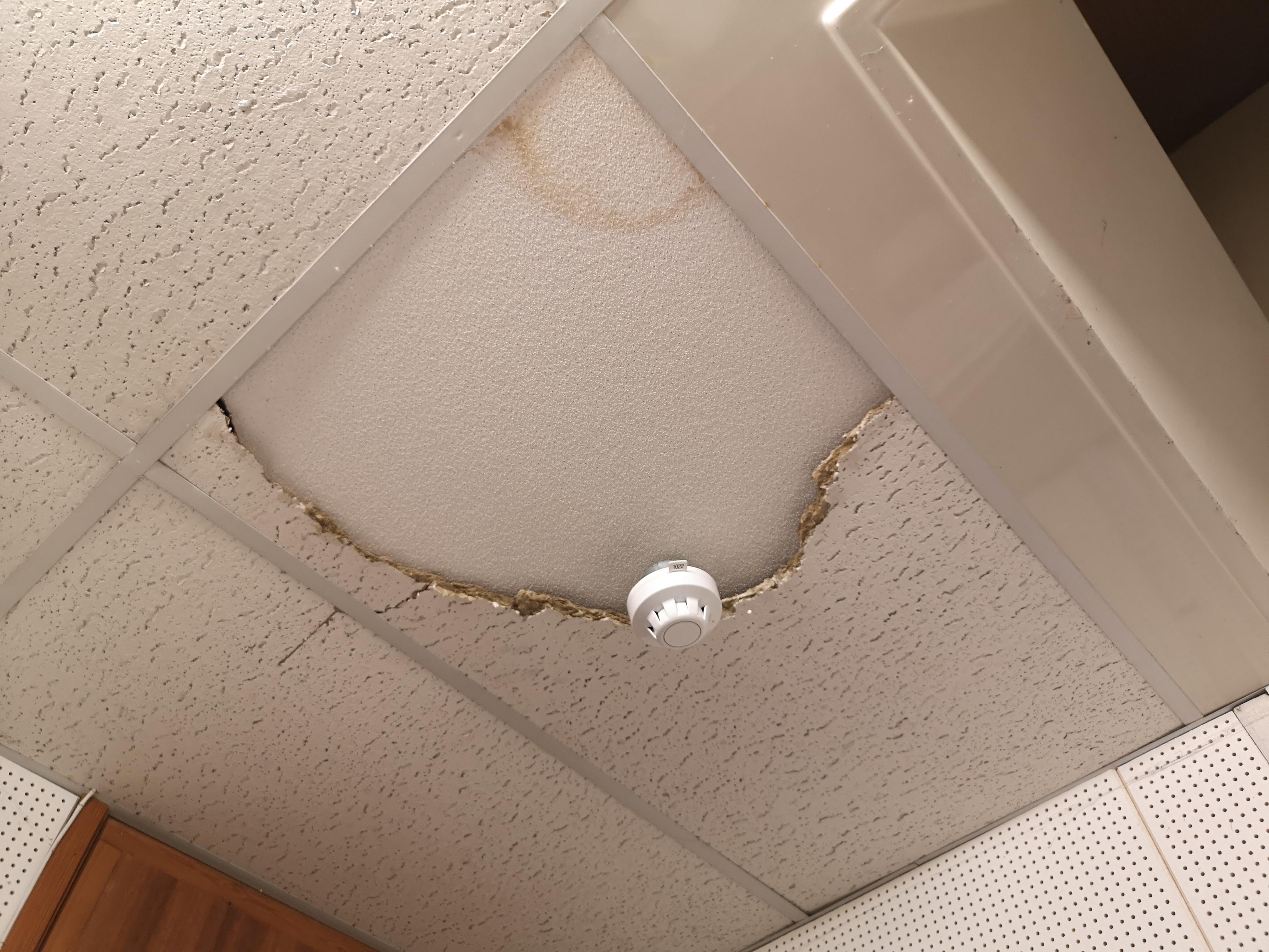 This ceiling tile | Scrolller