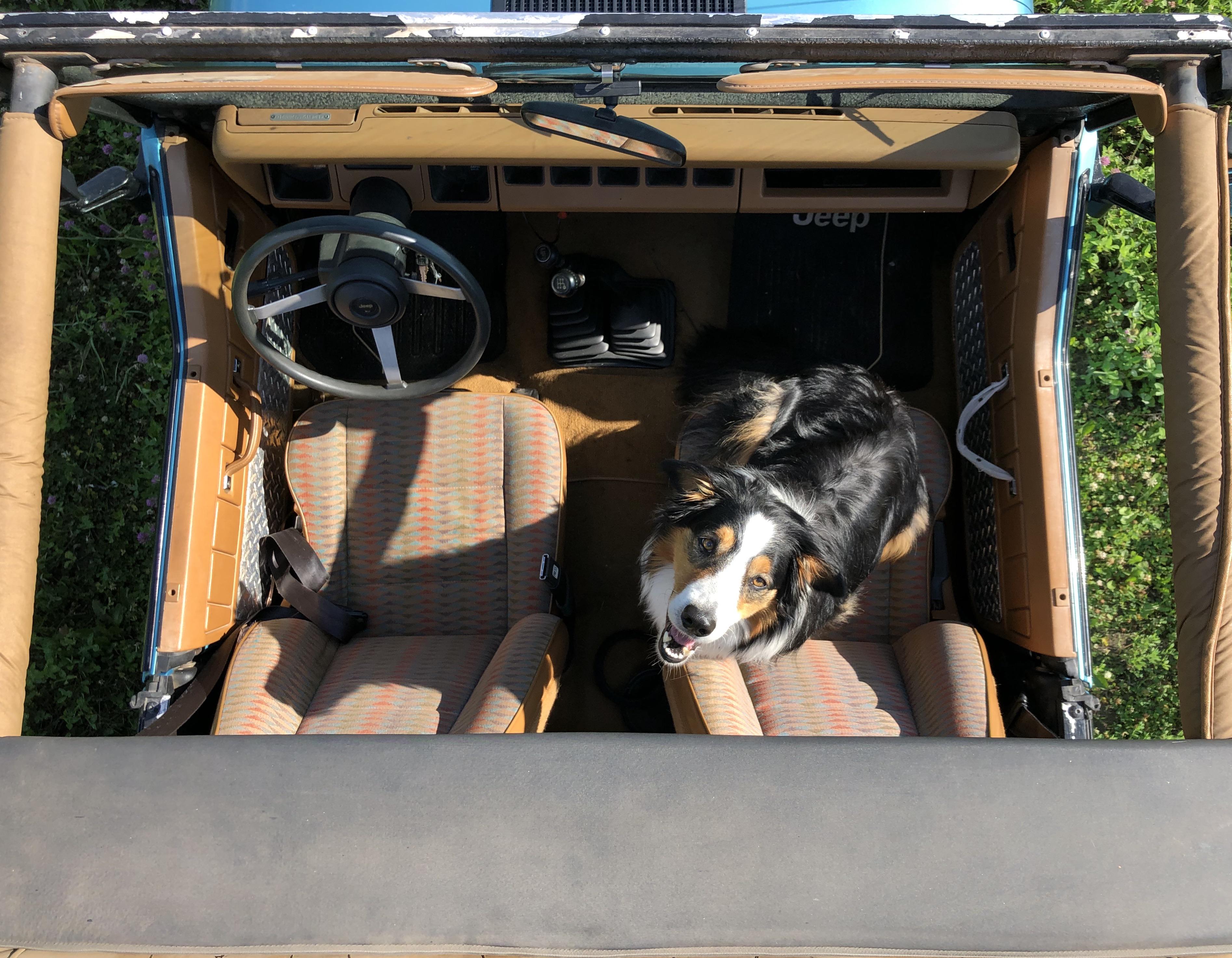 This cool shot I took | Scrolller