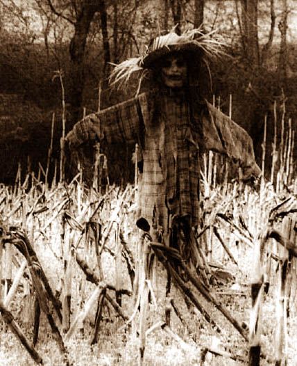 This creepy scarecrow is known to roam the Missouri cornfields. | Scrolller