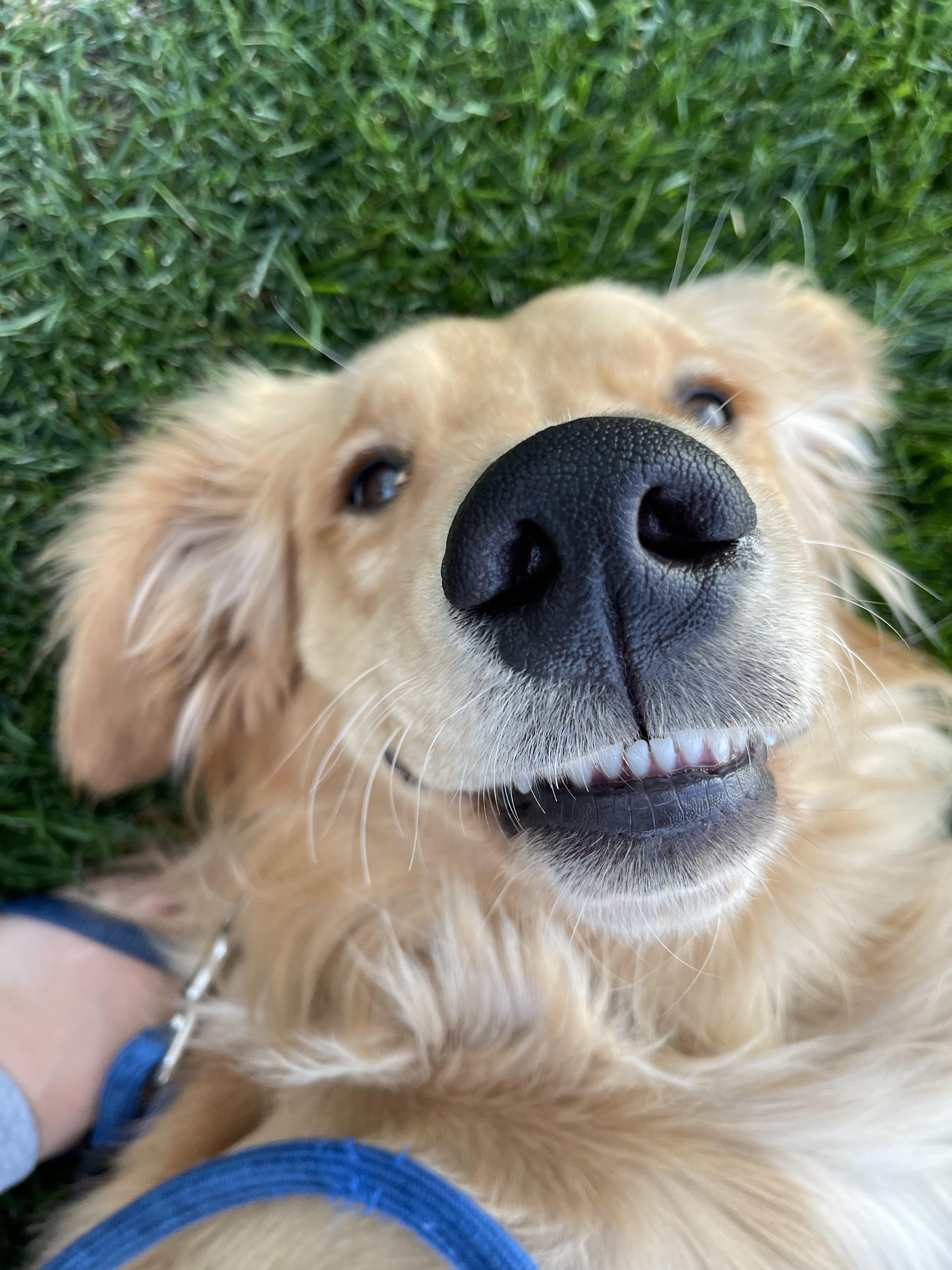 This derpy derp hopes you’re having a great day! *boop* | Scrolller