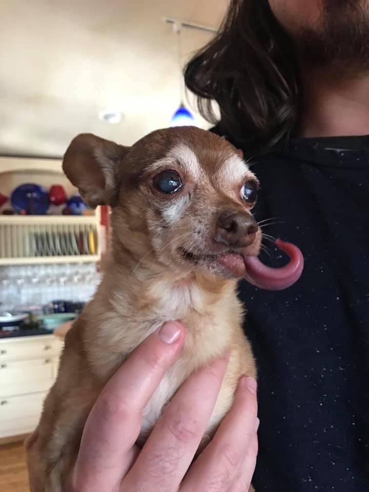 This derpy tongue. | Scrolller