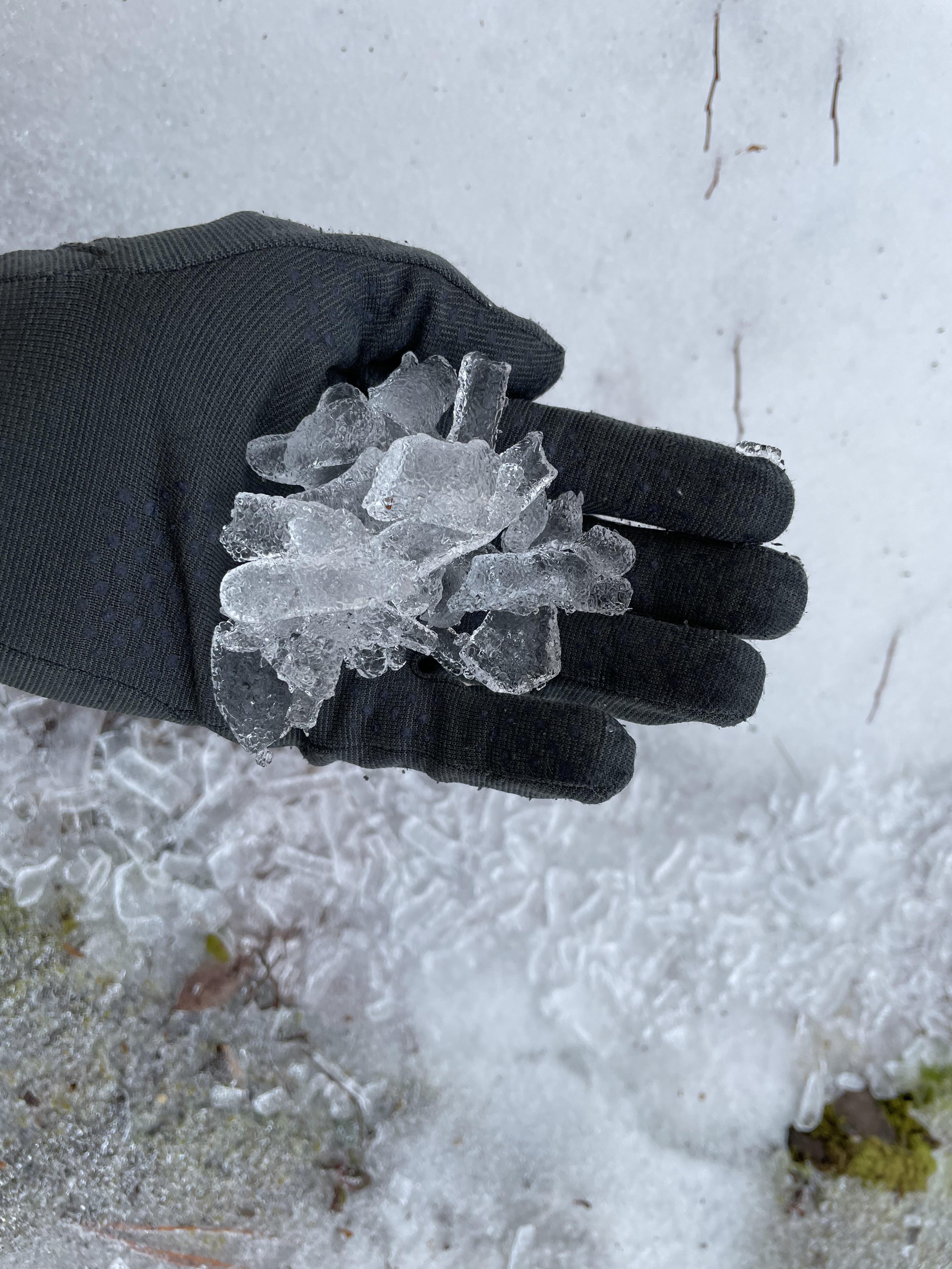 This glaze ice falling off of the trees looks and crunches exactly like Sonic’s ice. | Scrolller