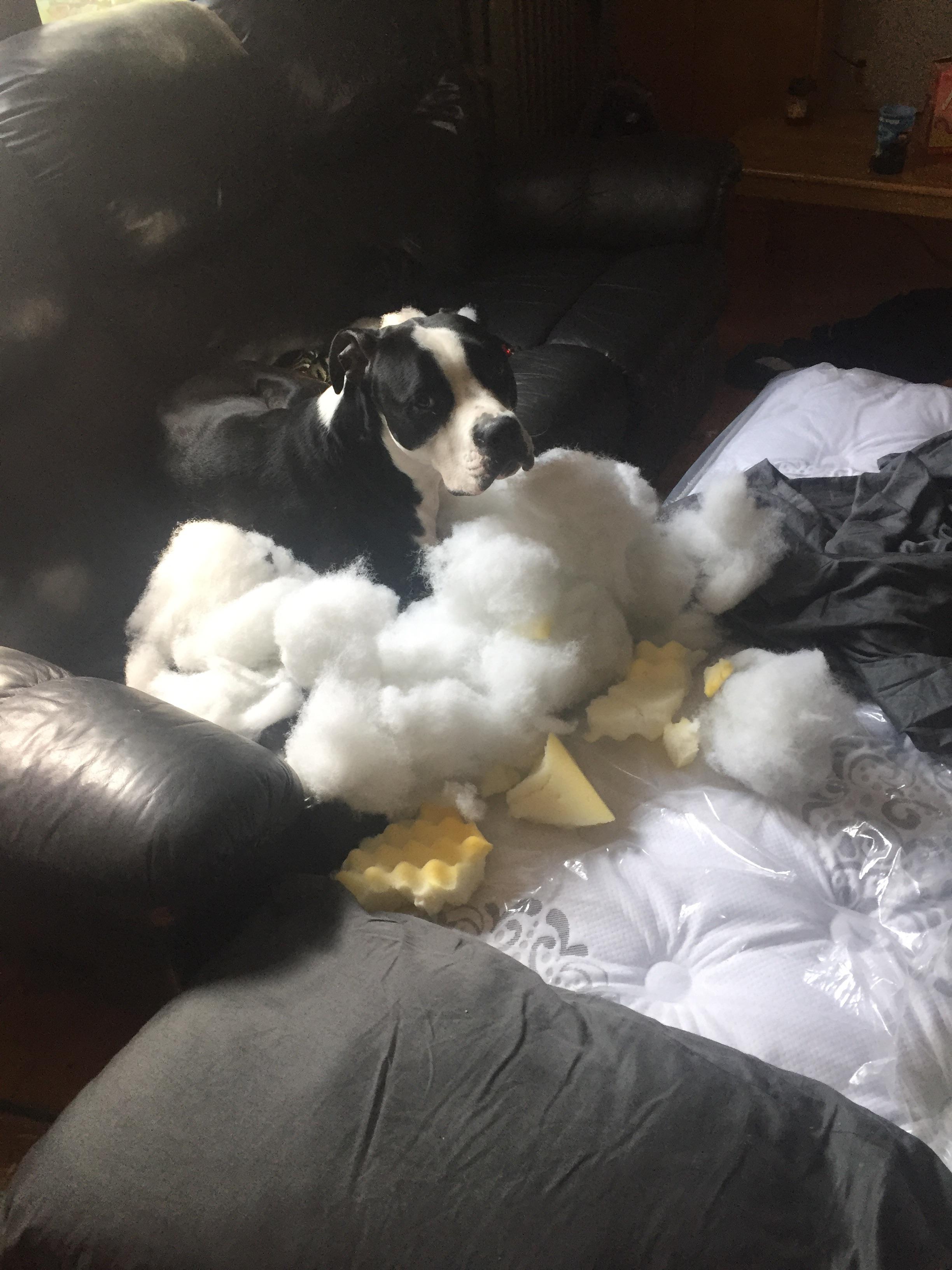 This guy. | Scrolller