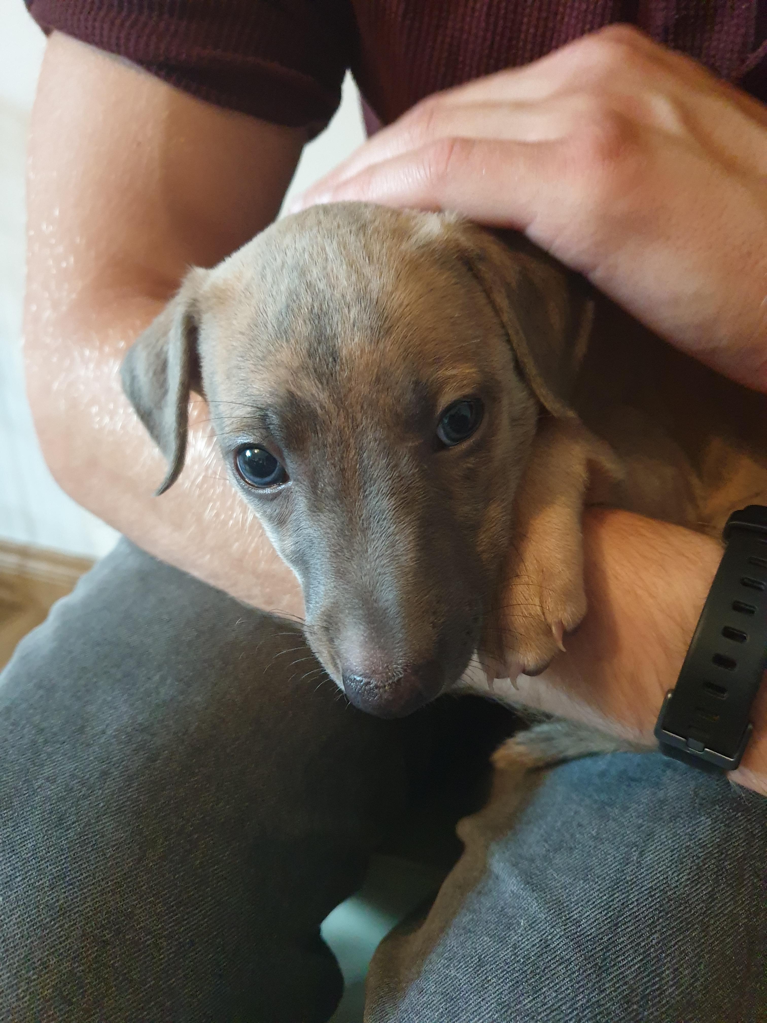 This handsome boy is coming home this weekend | Scrolller