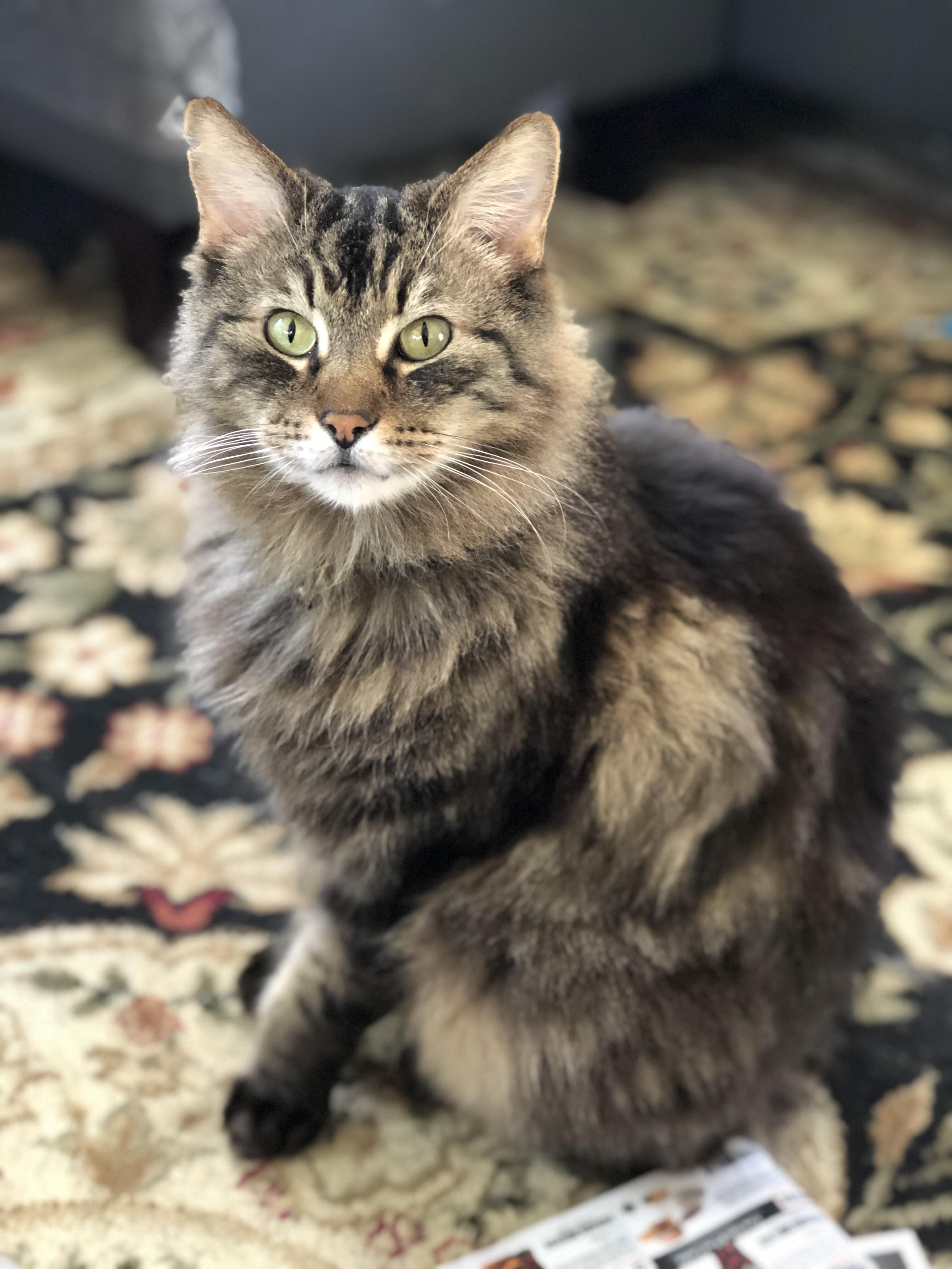 This handsome guy | Scrolller