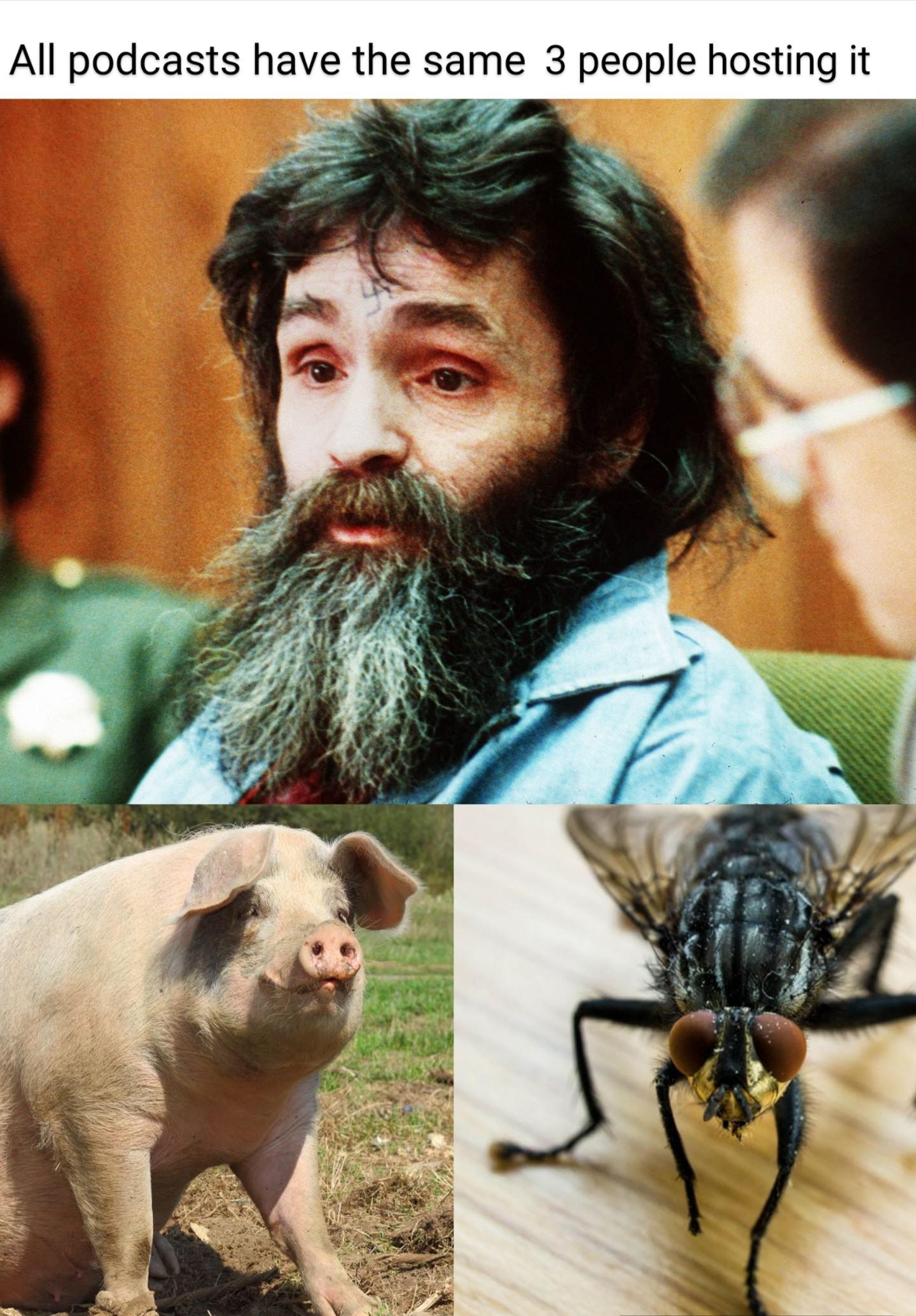 This has gone too far now. | Scrolller