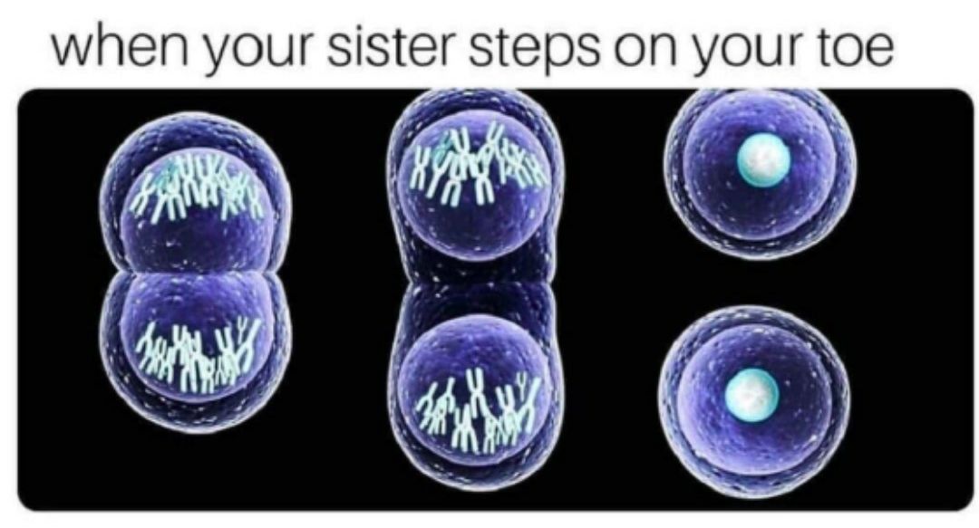 This is advanced | Scrolller