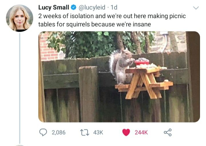 This is crazy. | Scrolller