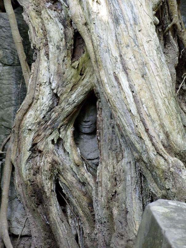 This is getting... weird | Scrolller