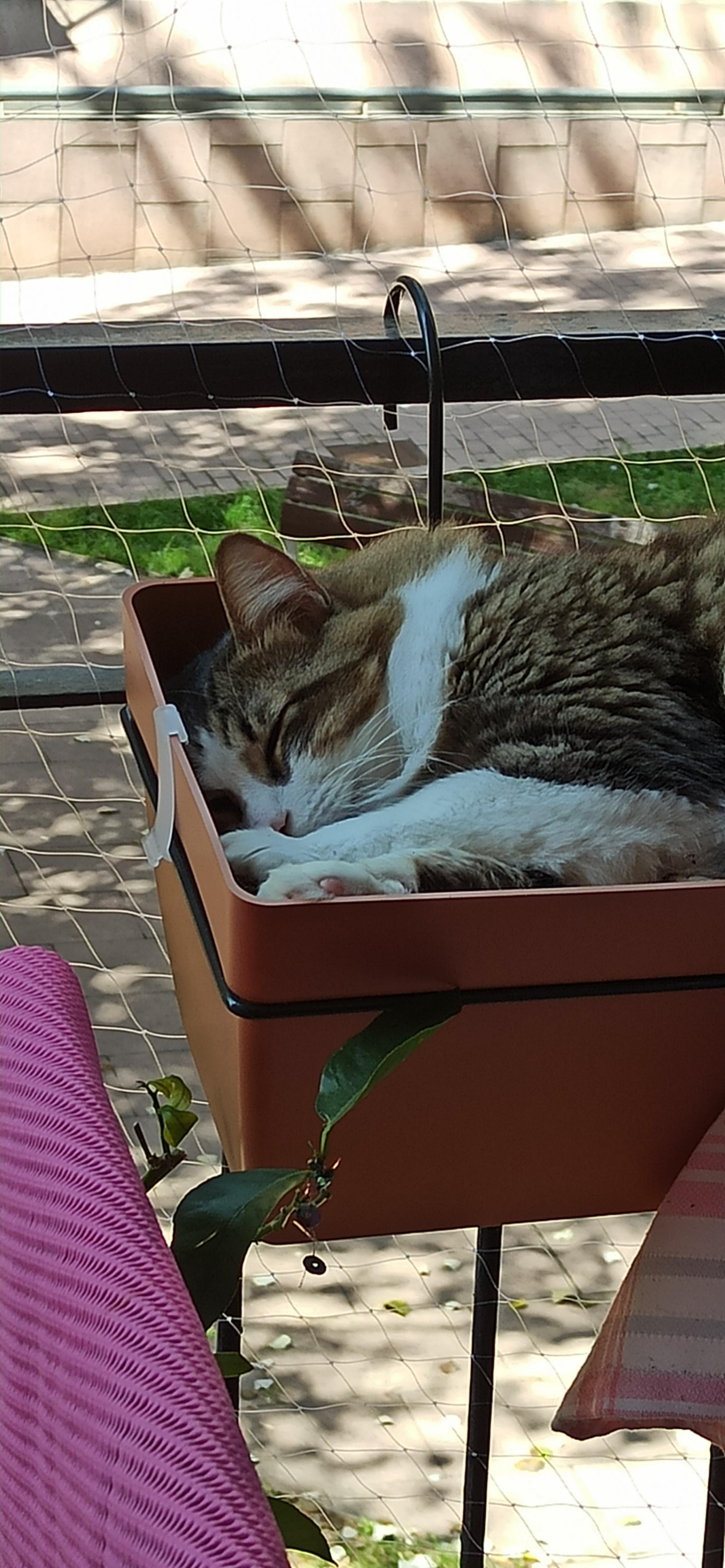 This is his new nap spot | Scrolller