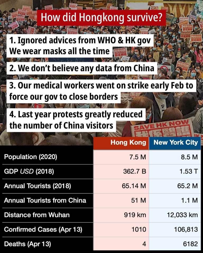This is how Hong Kong treated COVID-19 | Scrolller
