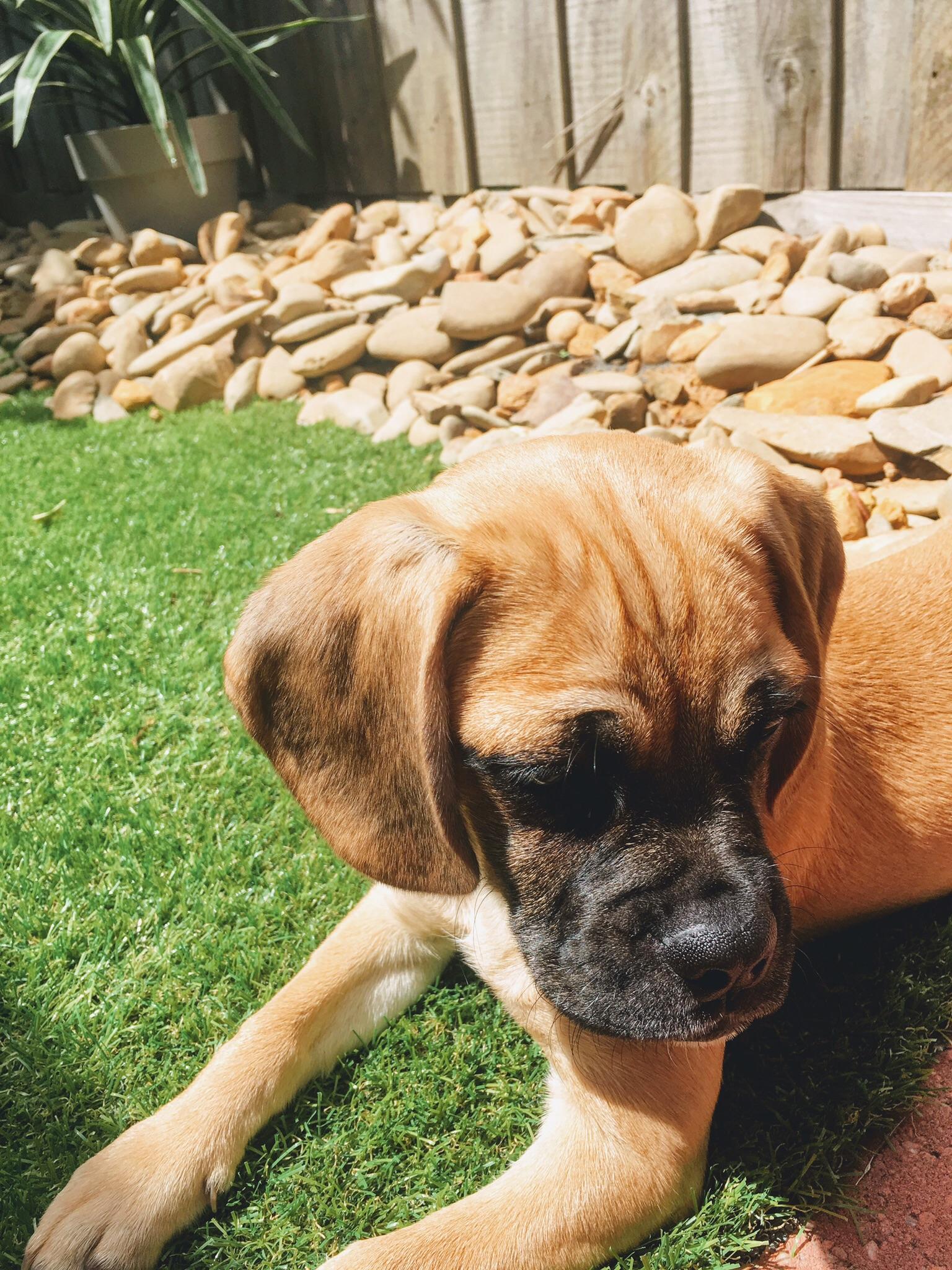 This is Juno. She's my best friend. | Scrolller