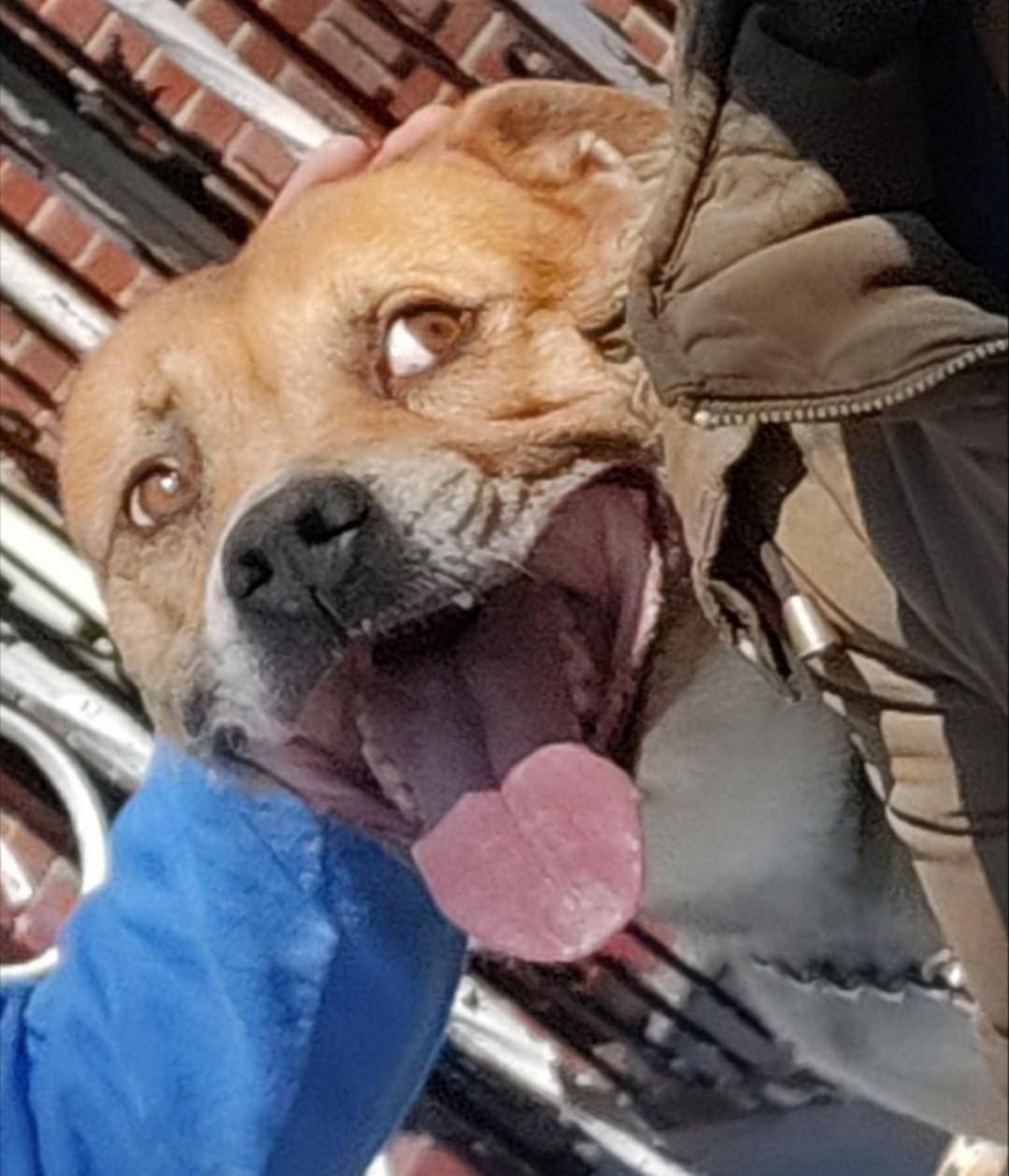 This Is Just The Face He Makes When My Bf Tells Him To Smile Scrolller