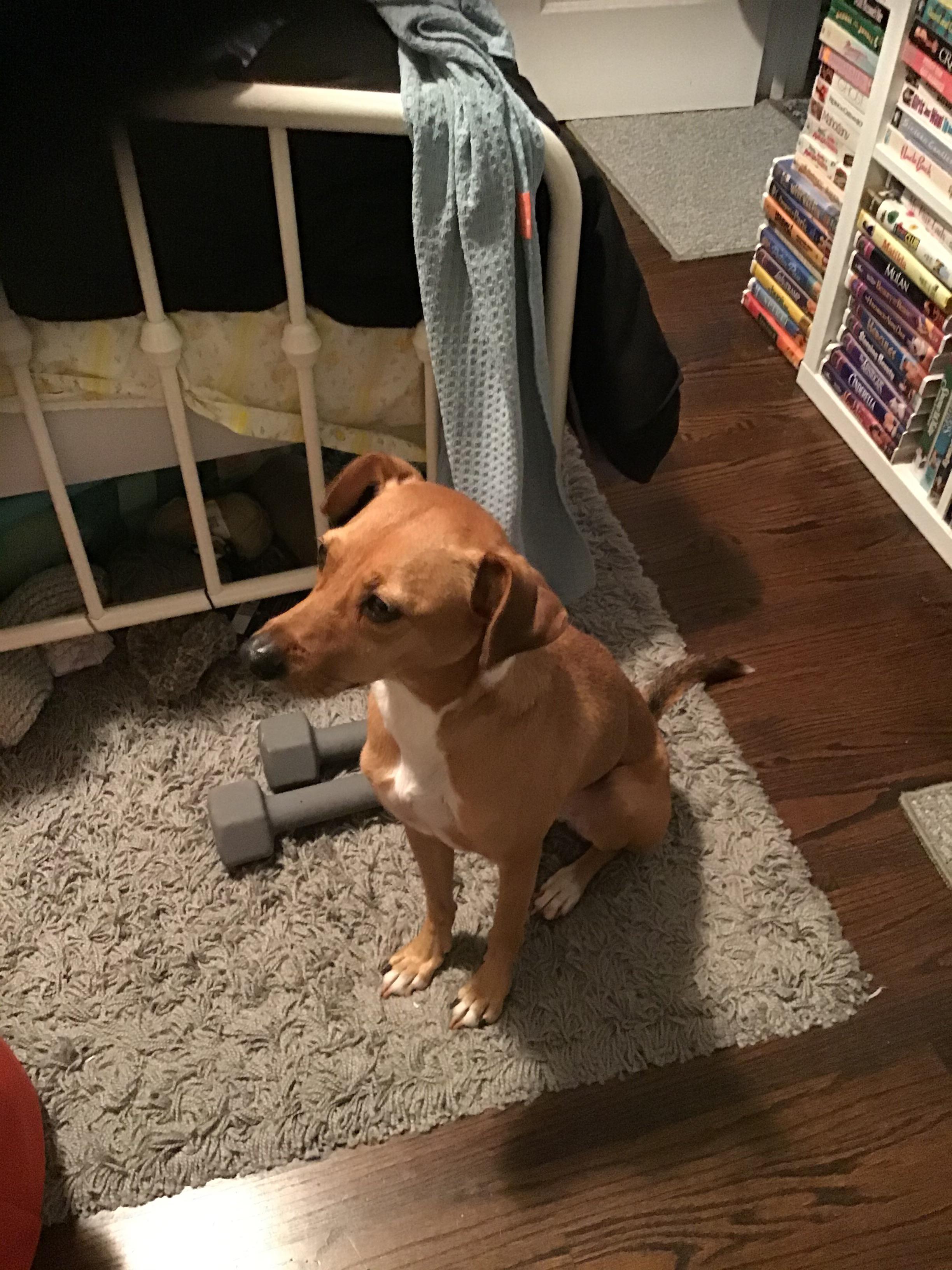 This is lady just adopted few days ago | Scrolller