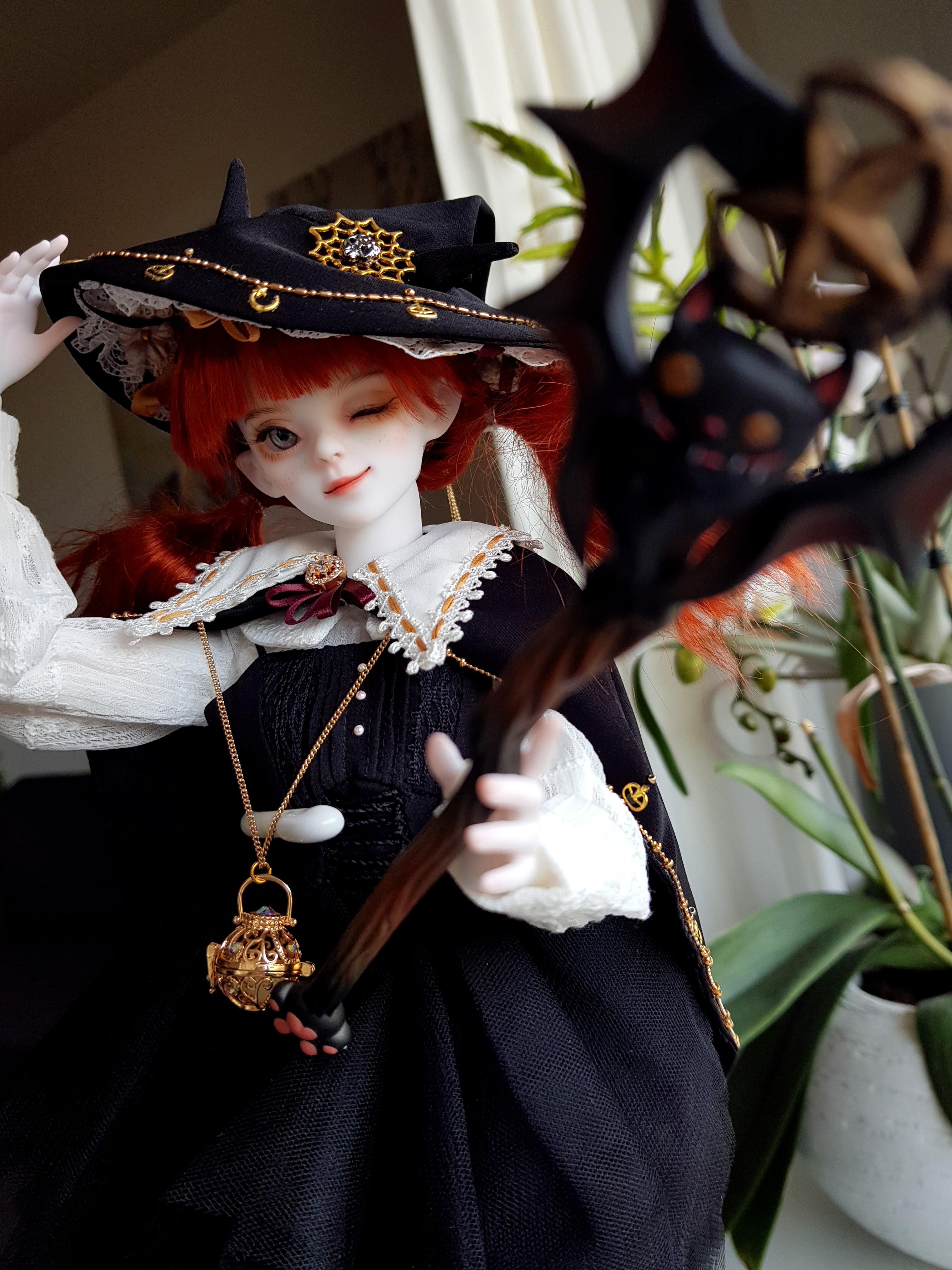 This is my newest addition, meet Ruby! | Scrolller