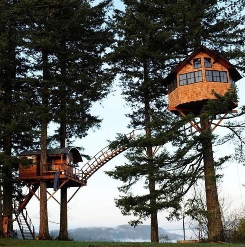 This is probably the tallest tiny treehouse I've ever seen! Would you stay here?? | Scrolller