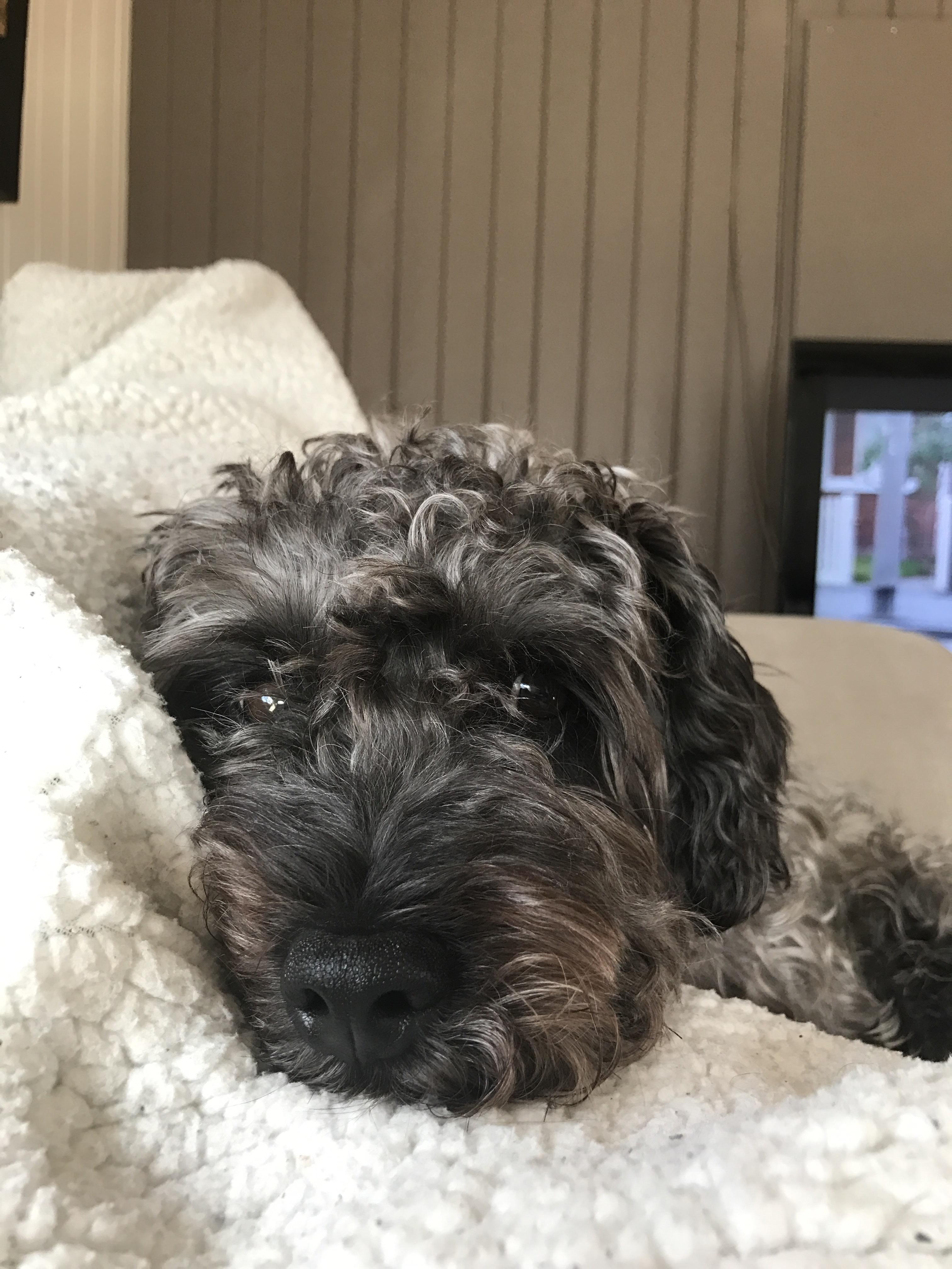 This is Scott 💙 | Scrolller