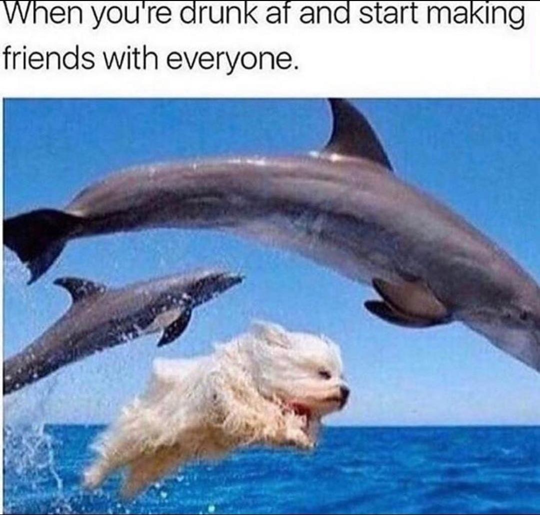 This Is So Me At The Campgrounds | Scrolller