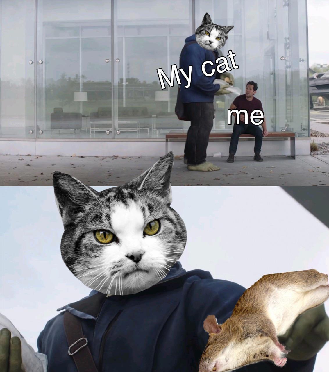 this is some gourmet shit | Scrolller