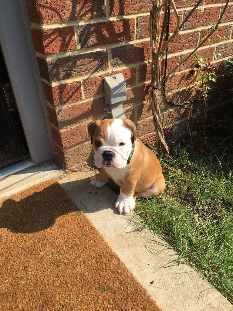 This is Stanley | Scrolller