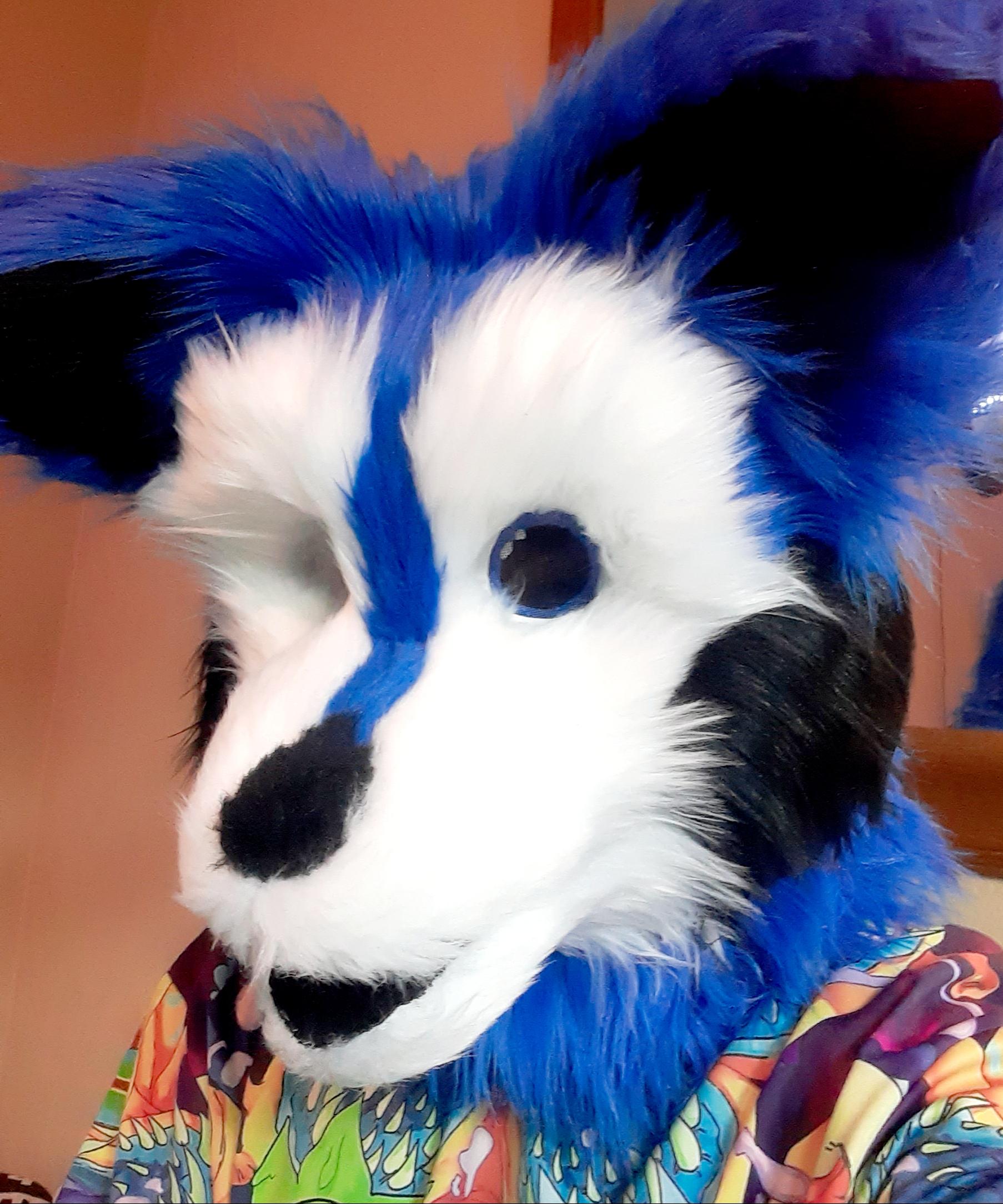 This is Suka. He is my very first fursuit and I am very proud of him🥰 | Scrolller