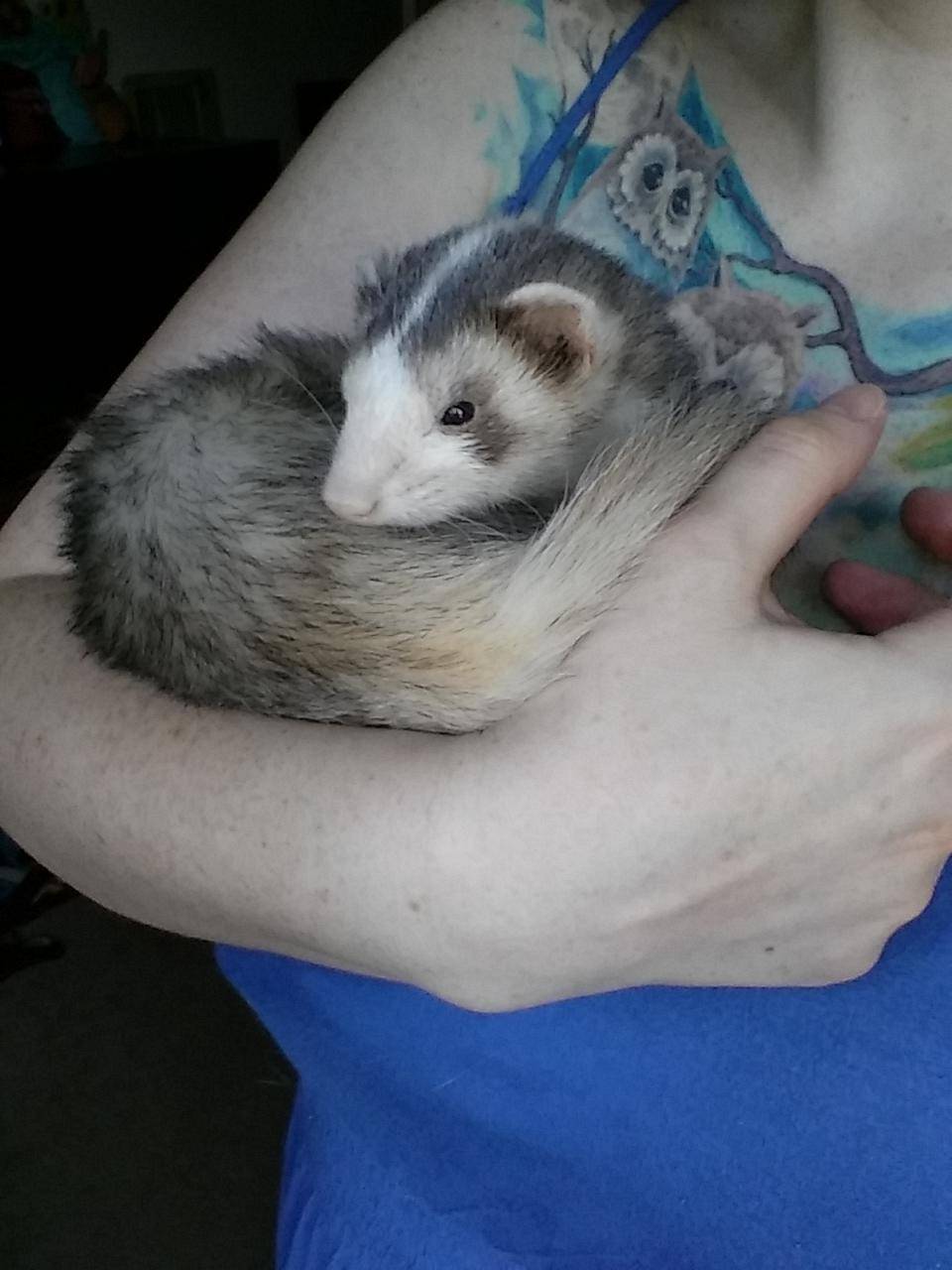 This is Sushi, she's eight! | Scrolller