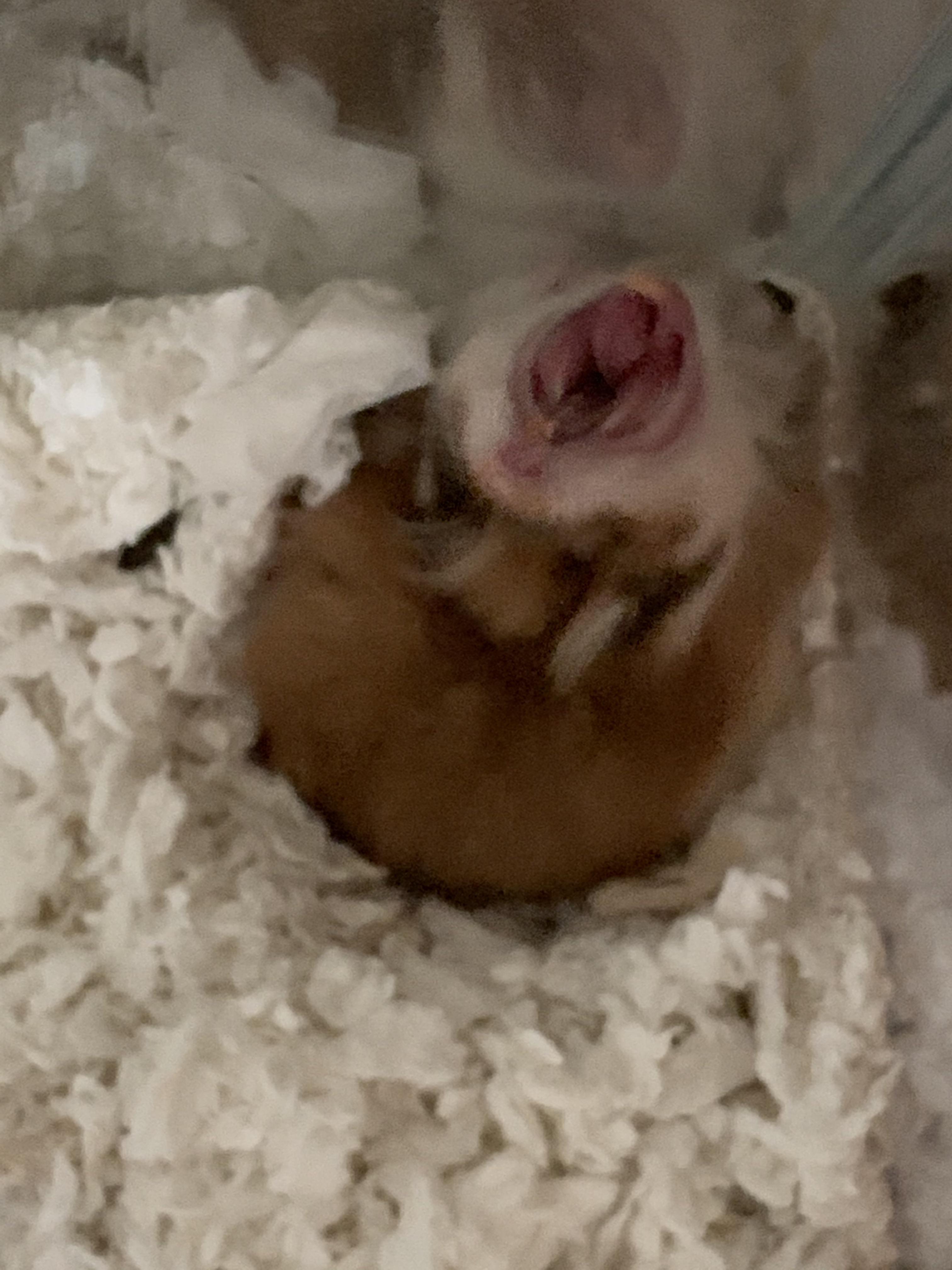 this is terrifying | Scrolller