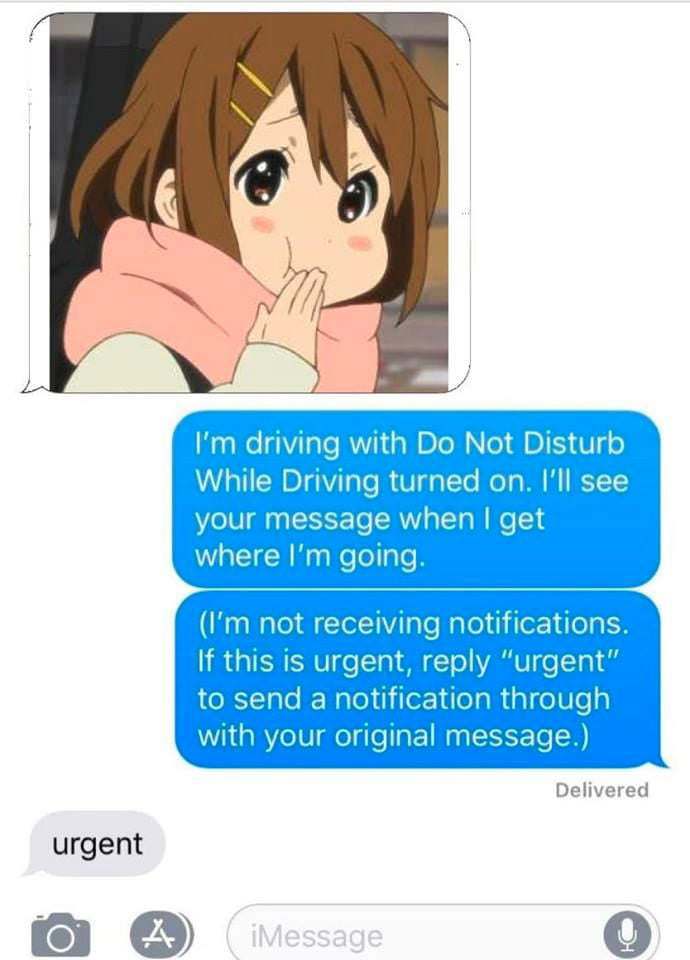 This is very important | Scrolller