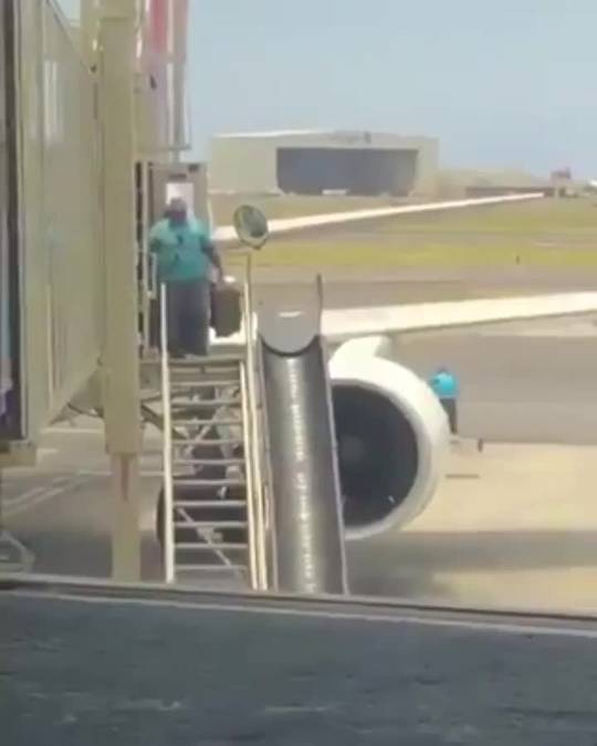 This is why you ONE BAG | Scrolller